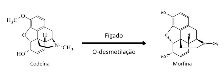 Fármacos na Odontologia e sua influência no doping - Conexão Odontoprev